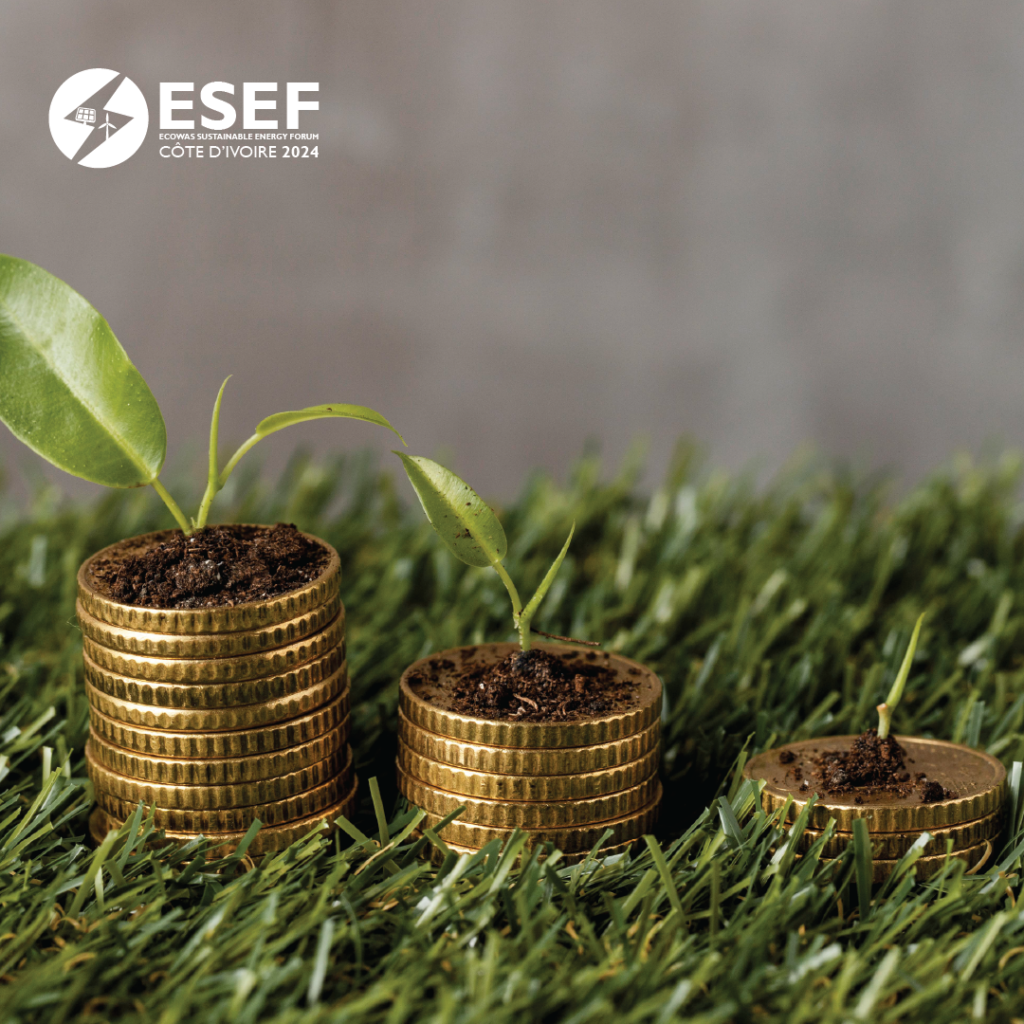 ECREEE to Host Inaugural Green Finance Fundraising Luncheon – ECREEE