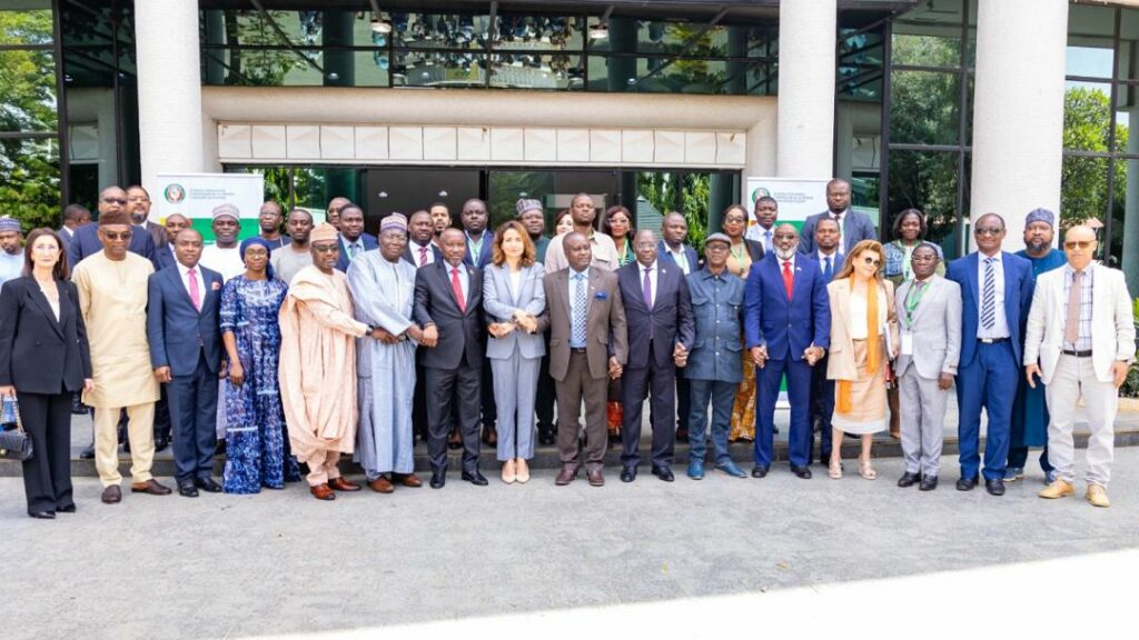 ECOWAS energy ministers adopt facility and guidelines on promoting ...
