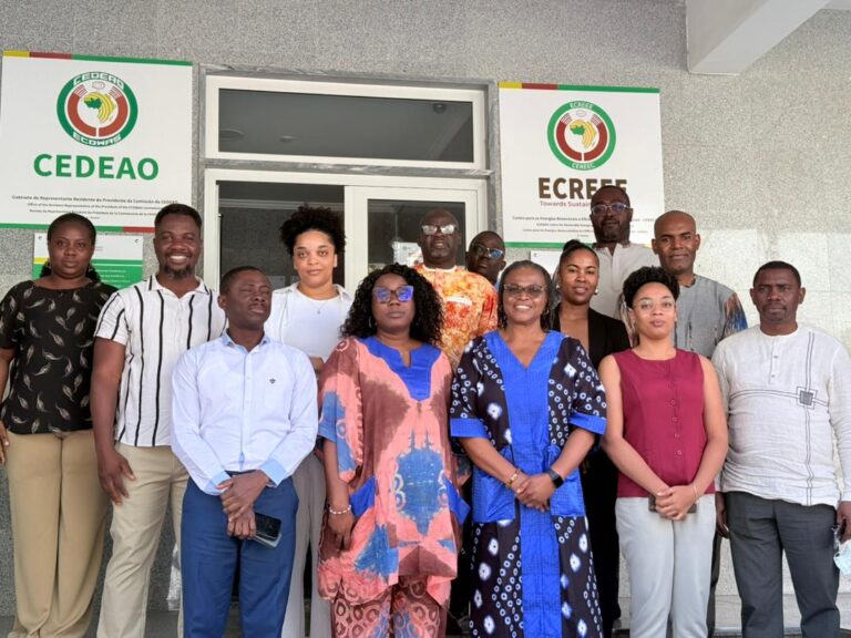ECREEE Strengthens Gender Inclusion in Energy Projects – ECREEE